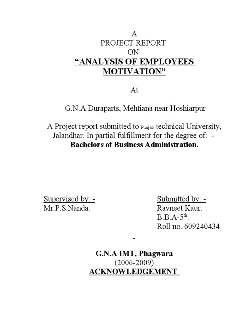 Employee Motivation Analysis Report | PDF | Motivation | Motivational
