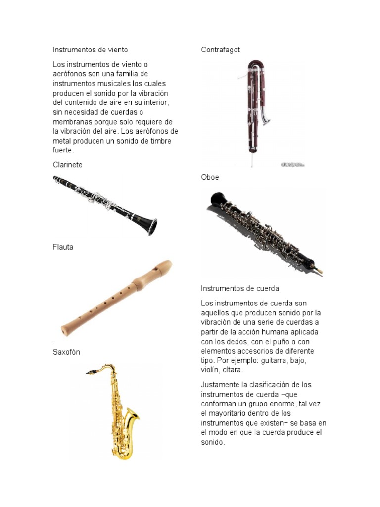 Instrumentos De Viento Percusion Cuerda Pdf Instrumentos