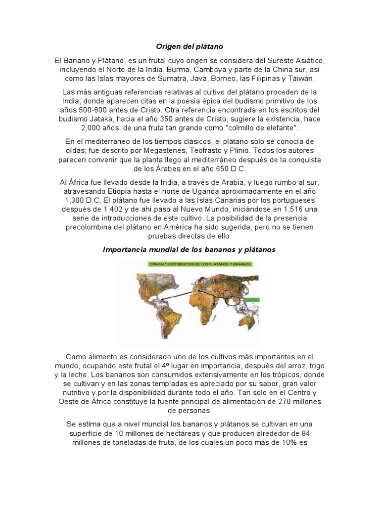 Origen Del Banano | PDF | Plátano | Centroamérica