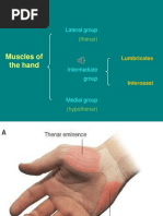 The Muscles of The Hand - Thenar - Hypothenar - TeachMeAnatomy | PDF ...