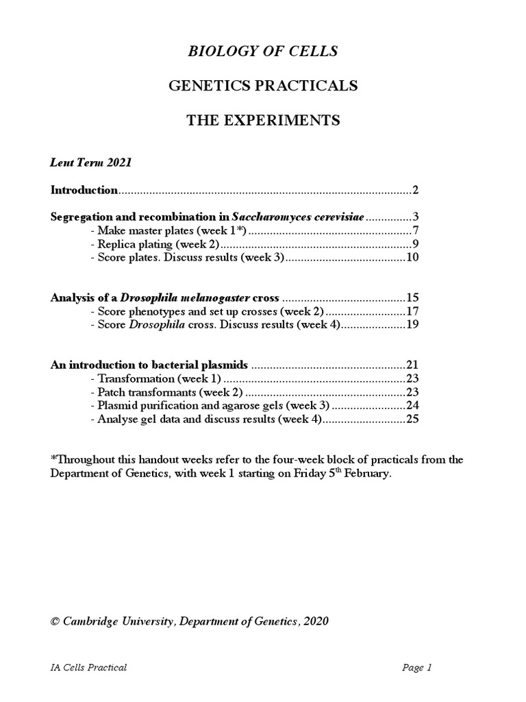 Genetics Practical Procedures | PDF | Plasmid | Molecular Cloning