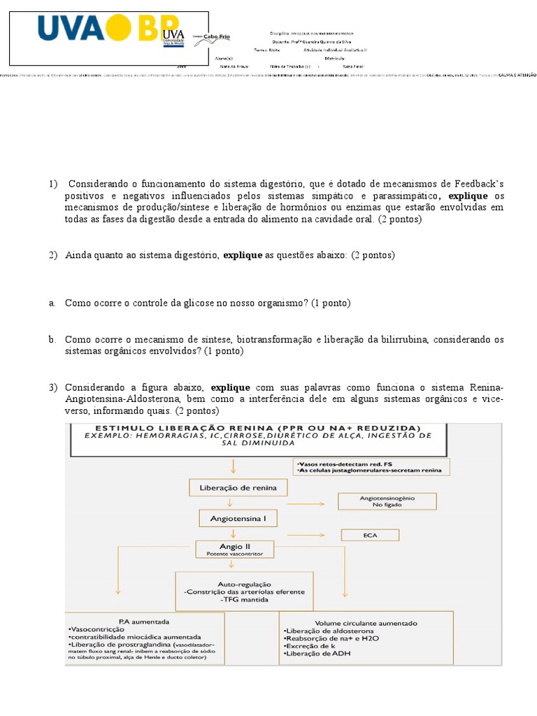 Atividade Individual Avaliativa 2-3 | PDF