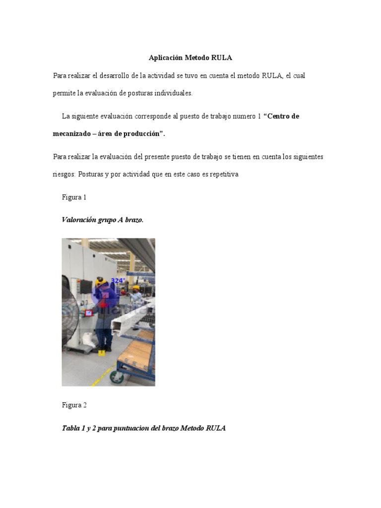 Anexo Aplicacion Metodo RULA | PDF