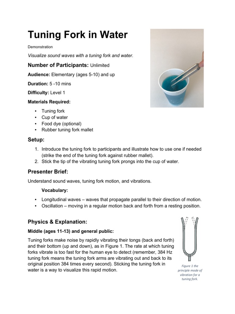 Sps Demos - Tuning Fork in Water | PDF