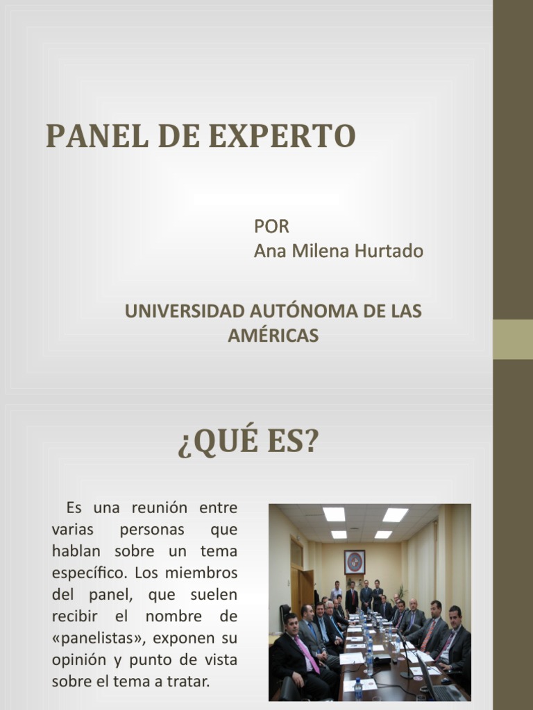 Fdocuments - Ec - Panel de Experto 1 | PDF