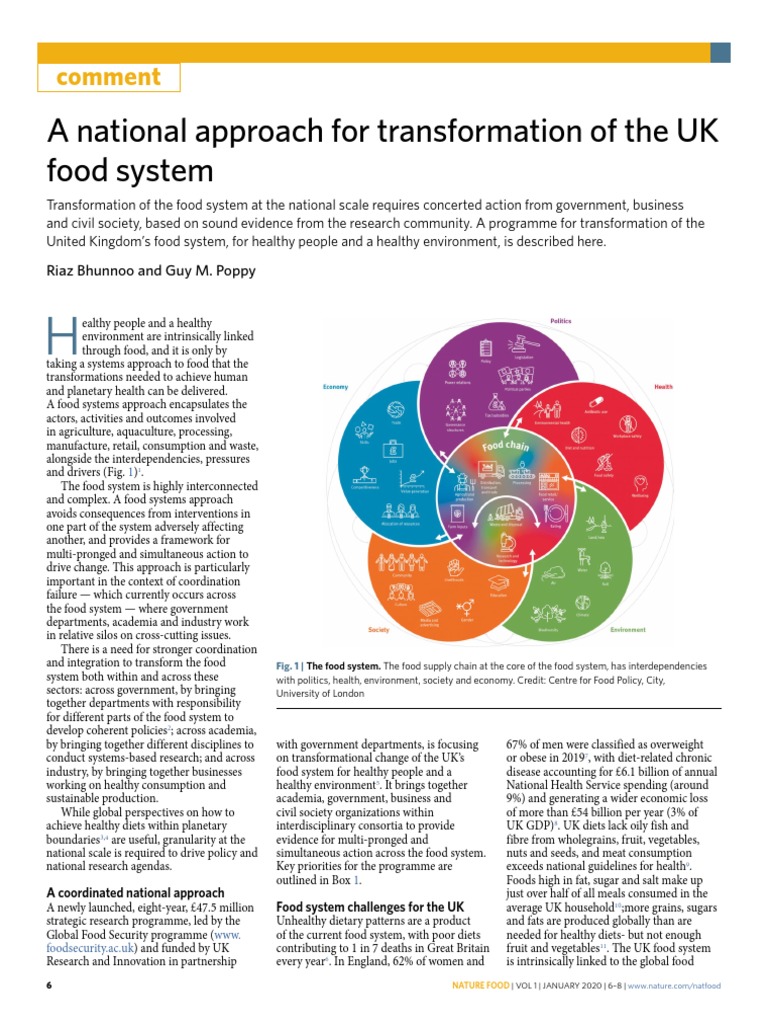 UK Food System | PDF | Sustainability | Foods