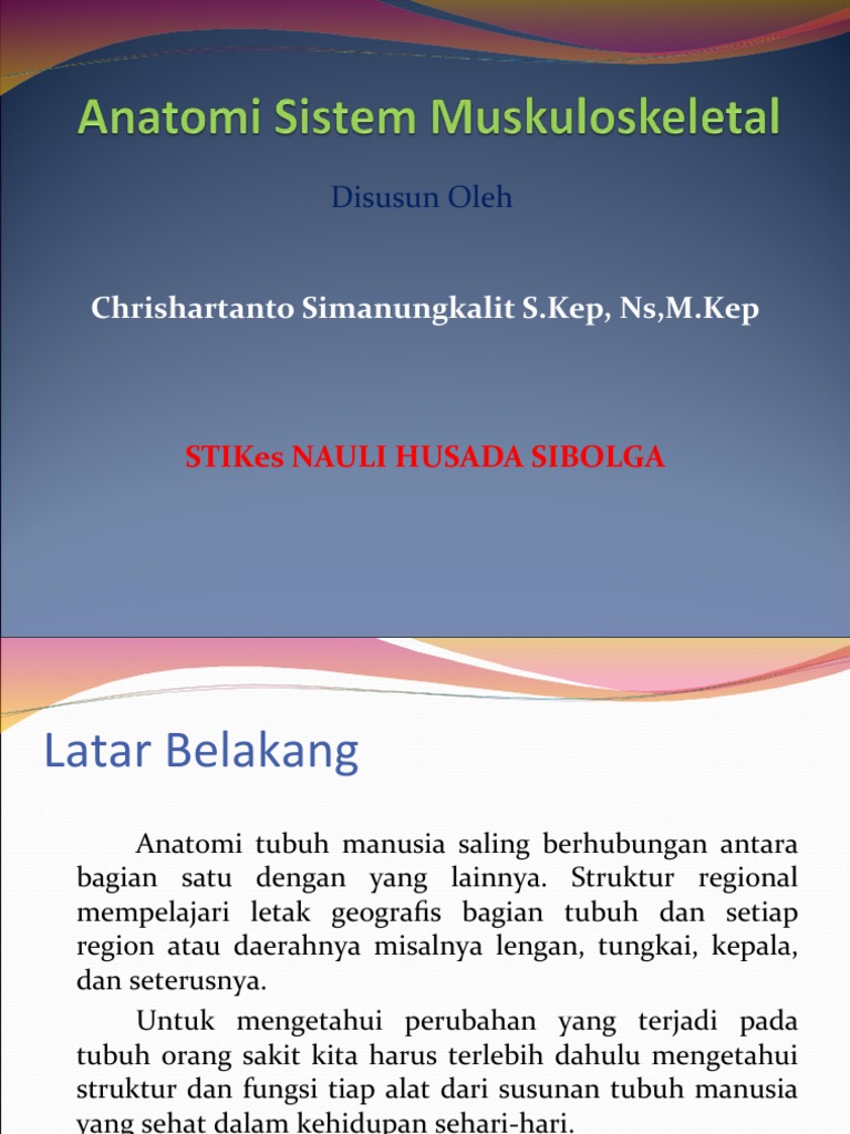 Anatomi Sistem Muskuloskeletal | PDF