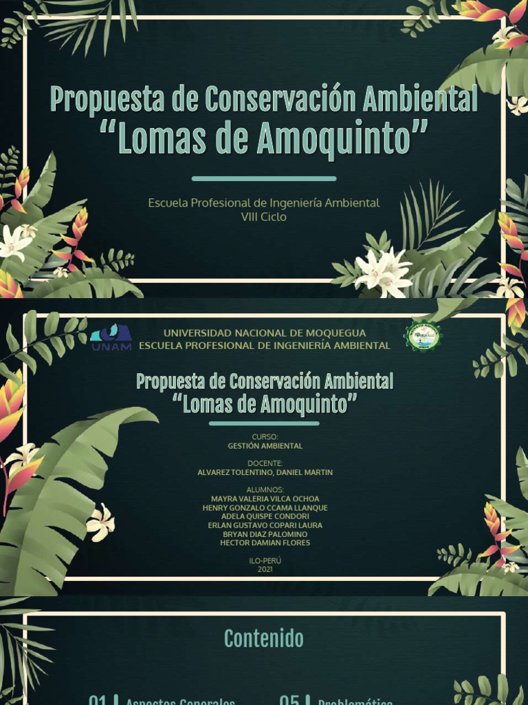 PROPUESTA DE ACA Lomas de Amoquinto-GESTION AMBIENTAL | Descargar gratis PDF | Sustentabilidad ...