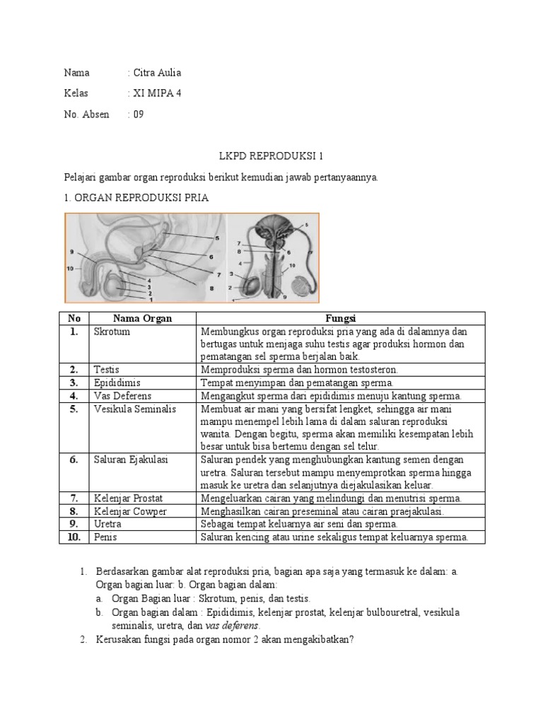 CitraA - 09 - XI MIPA 4 - LKPD - REPRODUKSI - 1 | PDF | Pengembangan Diri | Kesehatan Holistik