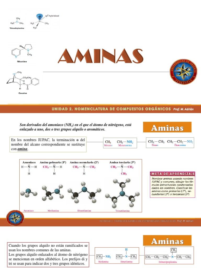 Nomenclatura de Aminas Orgánicas | PDF