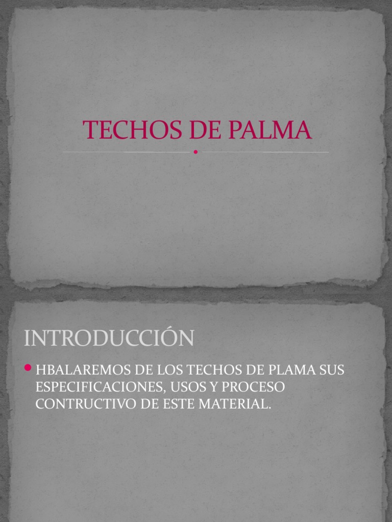Techos de Palma | PDF | Arecaceae | Hoja