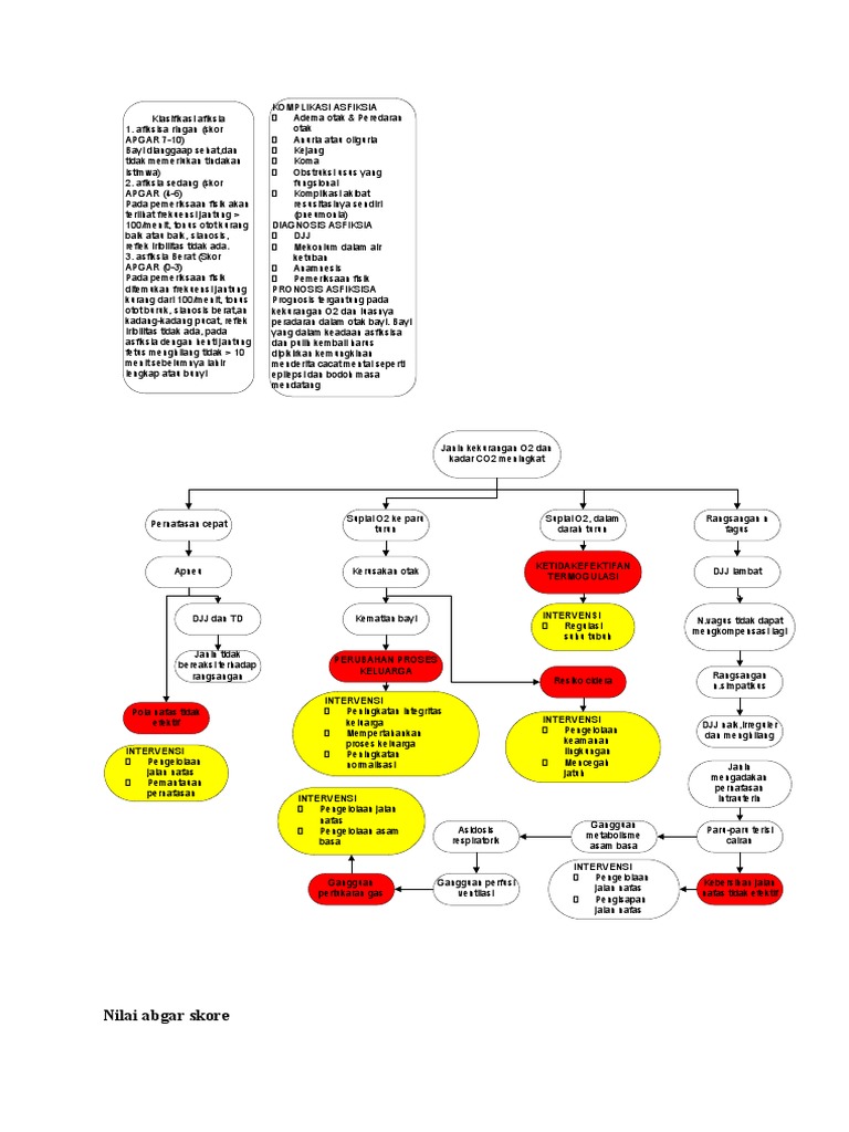Woc Anak Asfiksia | PDF