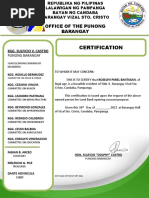 Lupon Tagapamayapa Org - Chart 2022 | PDF