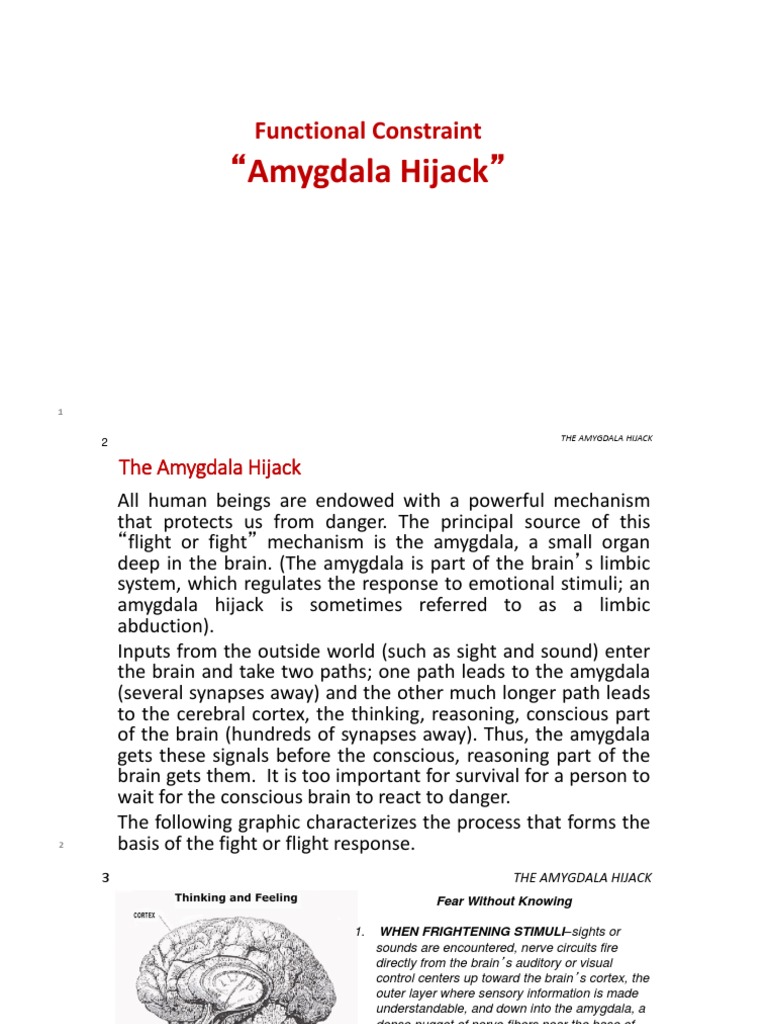 Amygdala Hijack | PDF | Amygdala | Brain