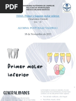 Tercer Molar Inferior | PDF | Ramas de Odontología | Diente