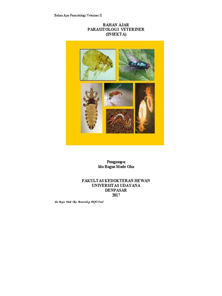 Bahan Ajar Insekta | PDF