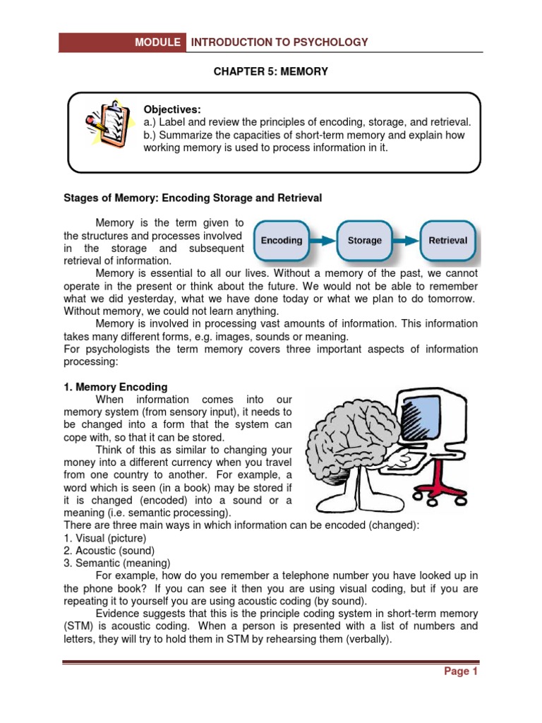 Chapter 5: Memory: Introduction To Psychology | PDF | Memory | Recall (Memory)