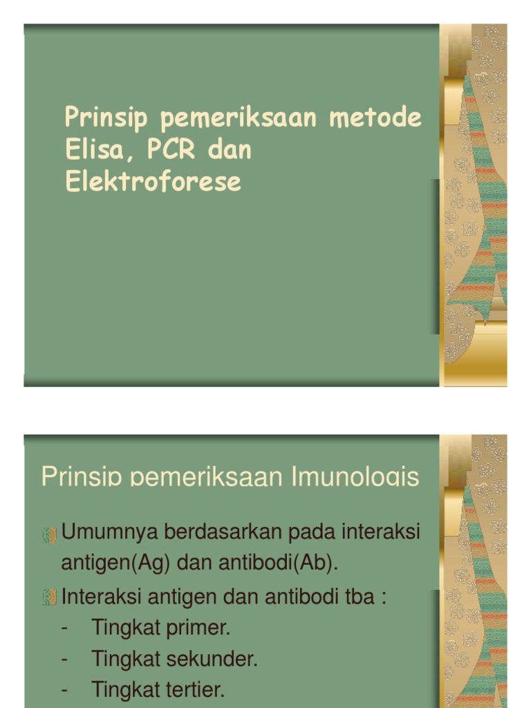 Pemeriksaan Metode Elisa - PCR Dan Elektroforese | PDF