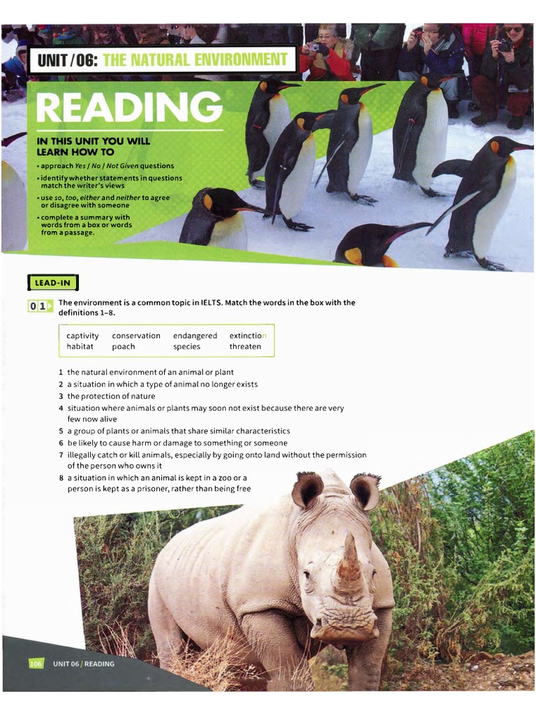 Mindset 2 Unit 6 | PDF