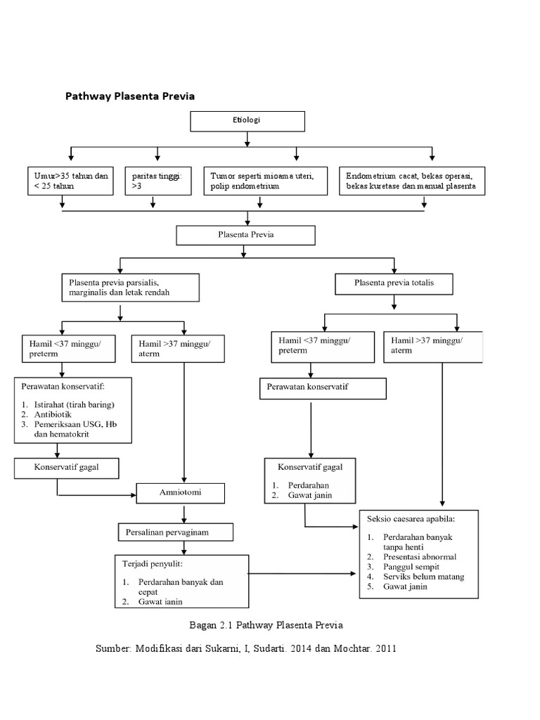 Pathway Plasenta Previa | PDF | Pengembangan Diri | Kesehatan Holistik