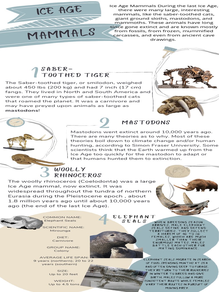 Ice Age Mammals | PDF | Pleistocene | Horses
