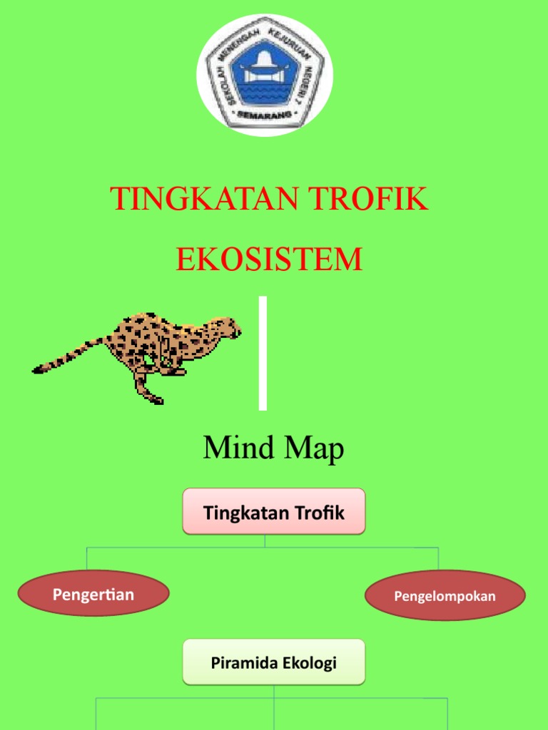 Tingkatan Trofik Ekosistem | PDF | Griya & Taman | Teknologi & Rekayasa