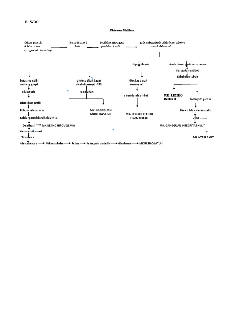 WOC Ulkus DM | PDF