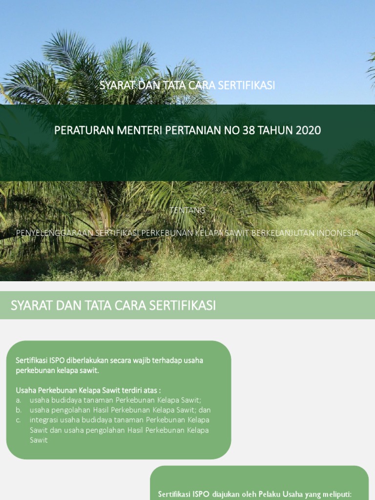 PERMENTAN 38 TAHUN 2020 Tatacara Sertif | PDF