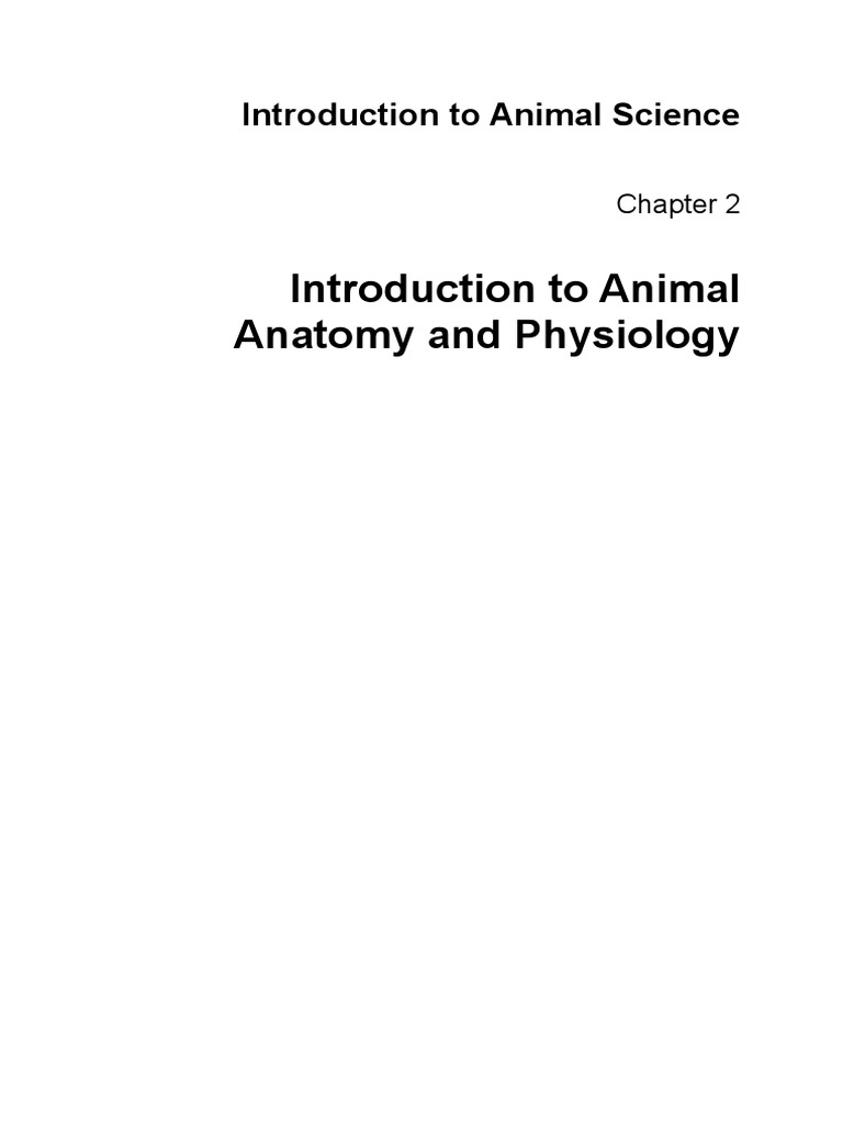 Animal Anatomy and Physiology Overview | PDF | Human Body | Testicle