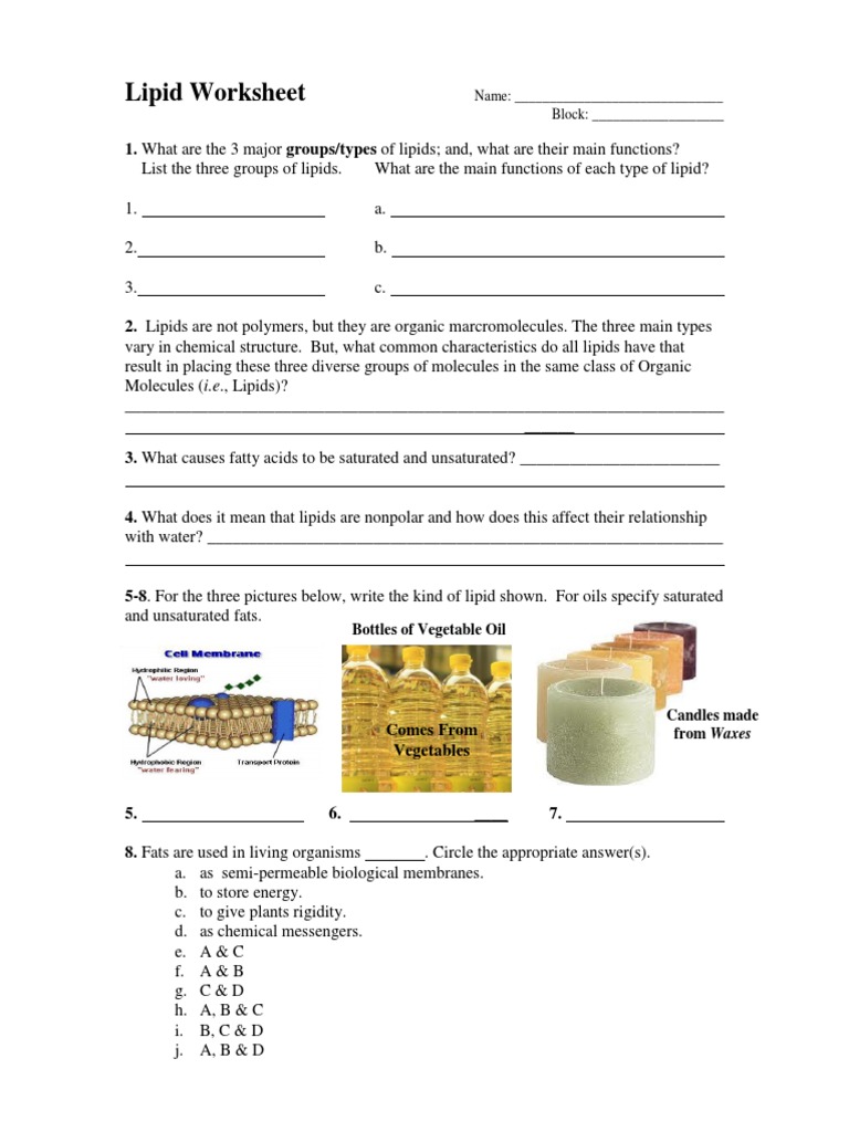 Lipid Worksheet: Name: - Block | PDF | Lipid | Fat