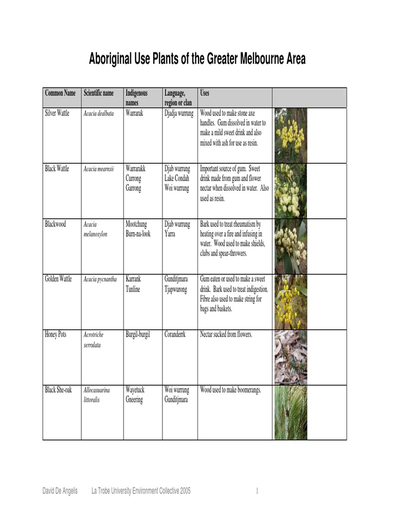 Aboriginal Plant Use List W Pictures | PDF | Plants | Botany