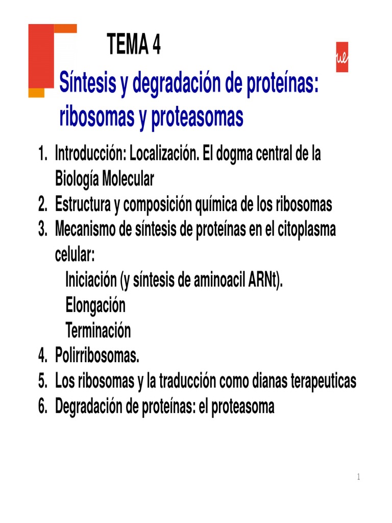 Tema 4 Los Ribosomas 2018-2019 | PDF | Traducción (biología) | Ribosoma