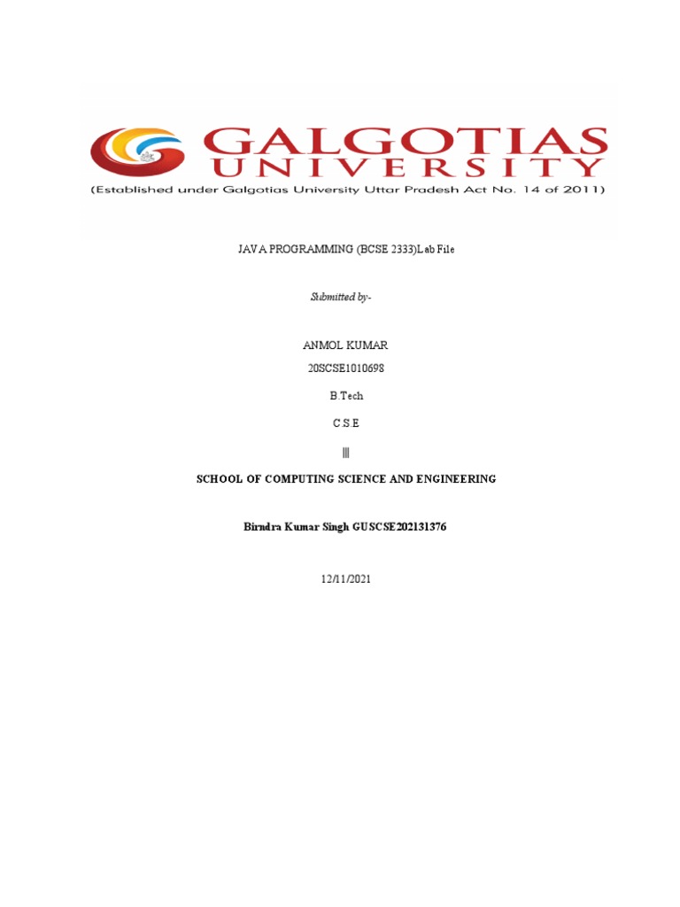 Lab File Formatbcse2333 Pdf Method Computer Programming Class Computer Programming 1732
