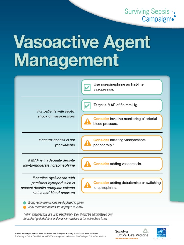 Surviving Sepsis Campaign 2021 Guidelines Infographic Vasoactive Agent ...