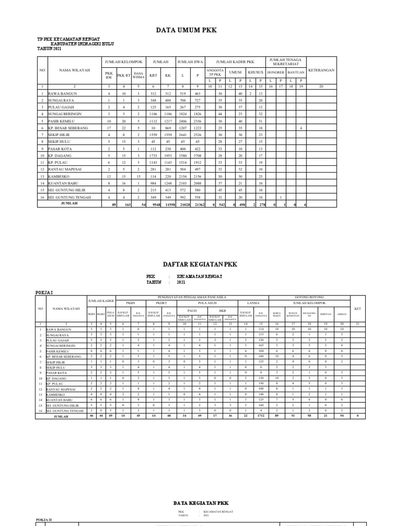 Data Umum PKK 2021 | PDF