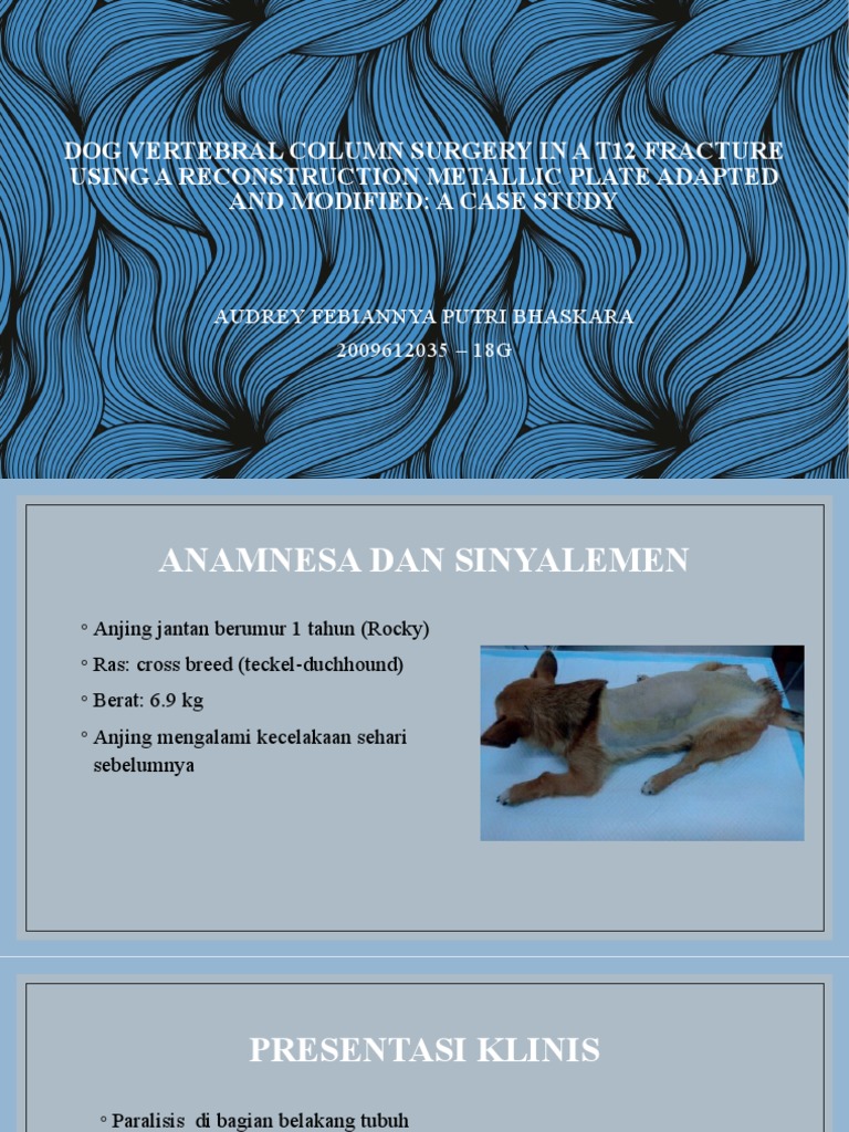 Tugas Radiologi Fraktur Vertebral T12 (Revisi) | PDF