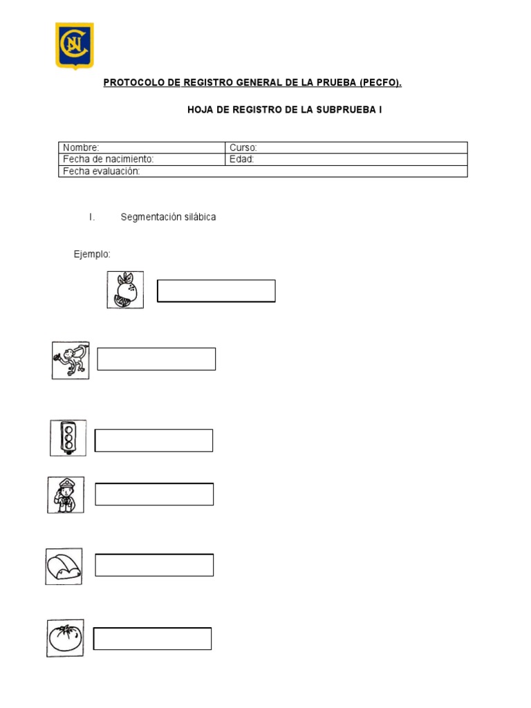 Protocolo Aplicacion Pecfo | PDF
