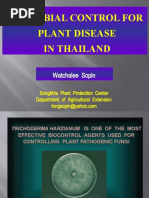 Banana Rust Thrips Presentation | PDF | Banana | Pest (Organism)