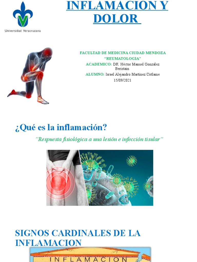 Inflamación y dolor: Una introducción a los mecanismos fisiopatológicos ...