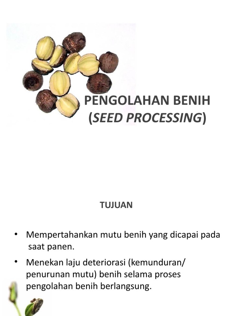 Pengolahan Benih | PDF