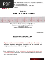 Reflejos Bainbridge 1 | PDF | Corazón | Nervio vago
