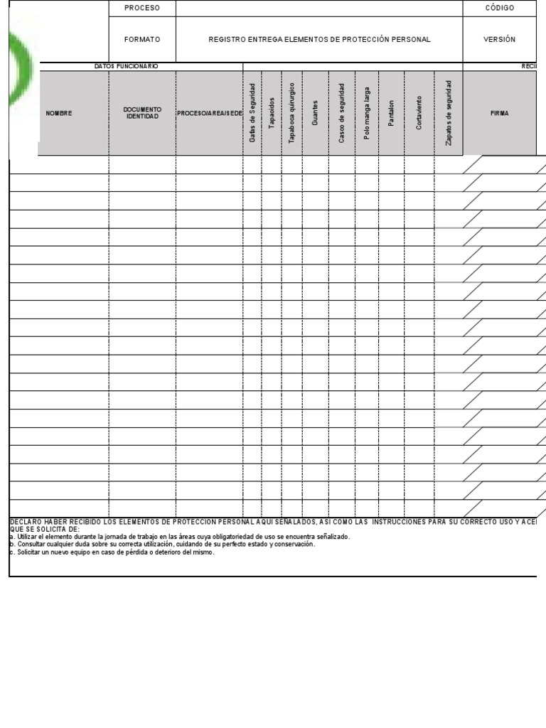 Formato de Entrega de Epps | PDF