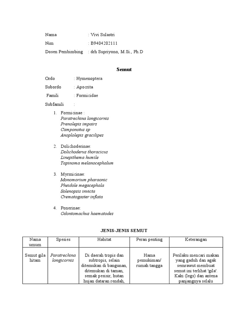 Jenis Jenis Semut | PDF