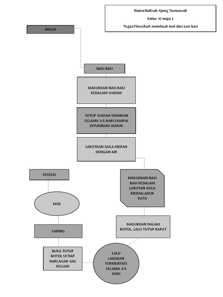 Flowchart Pembuatan Mol Nasi Basi | PDF
