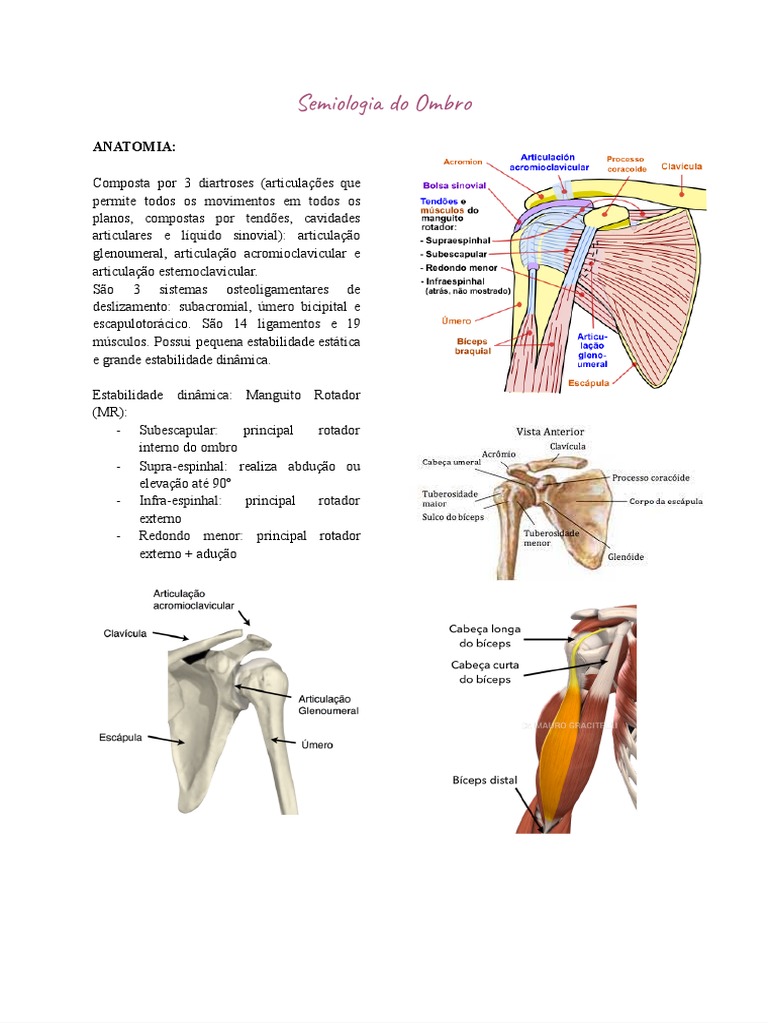 Semiologia Do Ombro | PDF