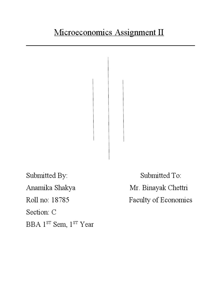 Microeconomics Assignment II | PDF