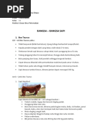 Jenis-Jenis Sapi di Indonesia | PDF