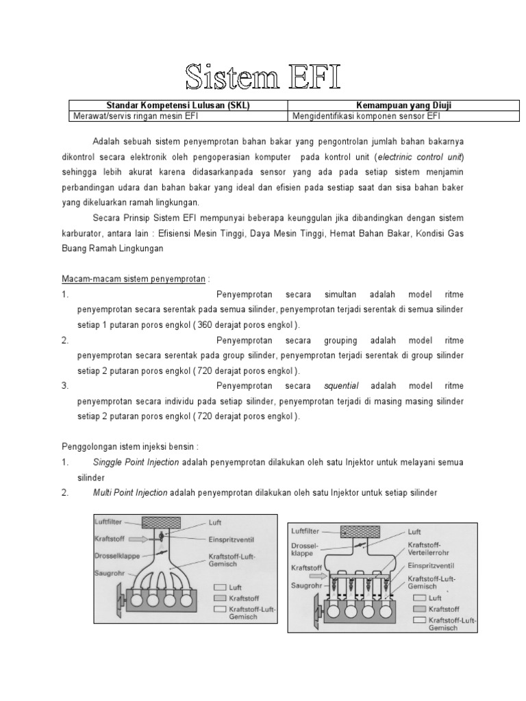 Sistem Efi | PDF | Griya & Taman