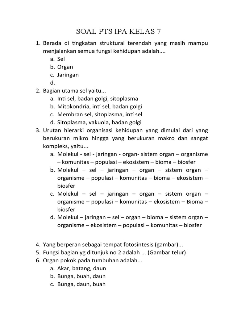 Soal Pts Ipa Kelas 7 | PDF