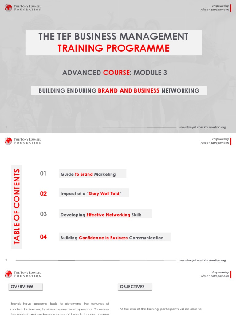 Building Brands Through Networking Pdf Brand Communication